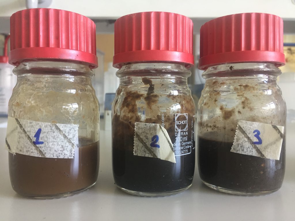 New bio-based products from urban sewage sludge valorisation - Cener BIO2C